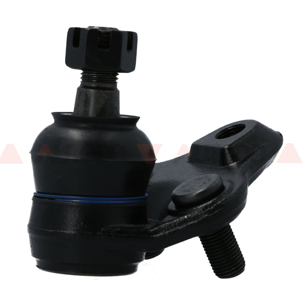 Rotula Toyota Corolla, Rav4 - Autodo